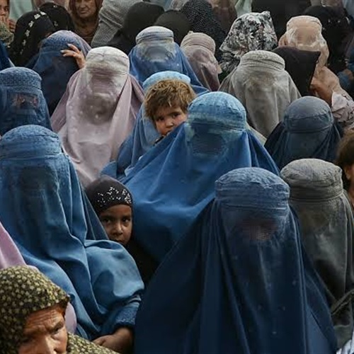 بوابة الحركات الاسلامية المرأة تحت حكم شريعة الحركات الإسلامية