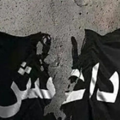 بوابة الحركات الاسلامية دراسة القيود الوبائية تقلل من عنف داعش